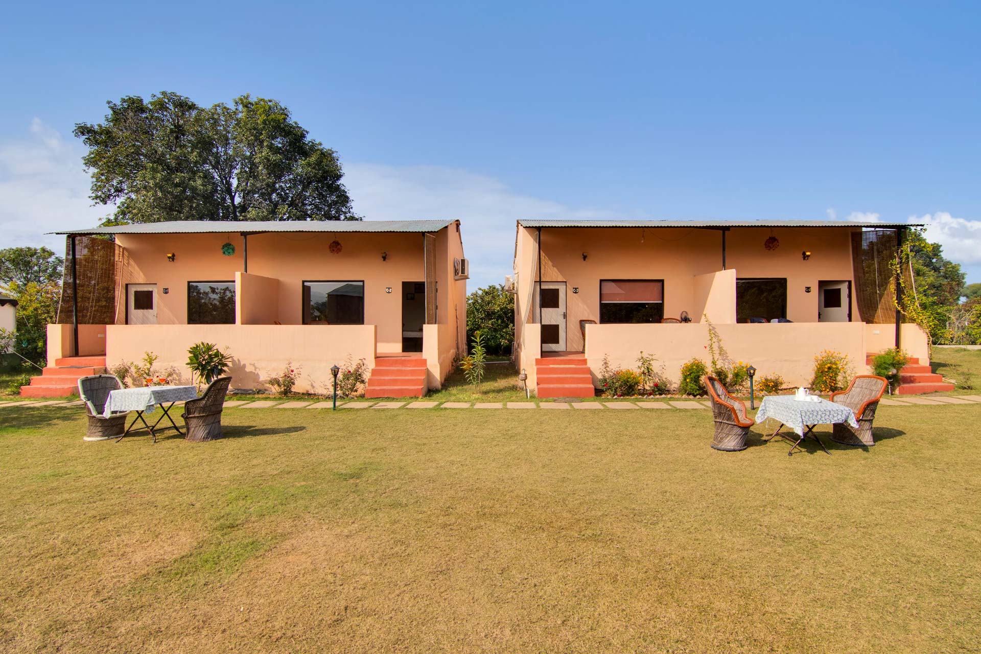 Wild @ The Jungle Book | Ranthambore | Rajasthan | Just Home Stay